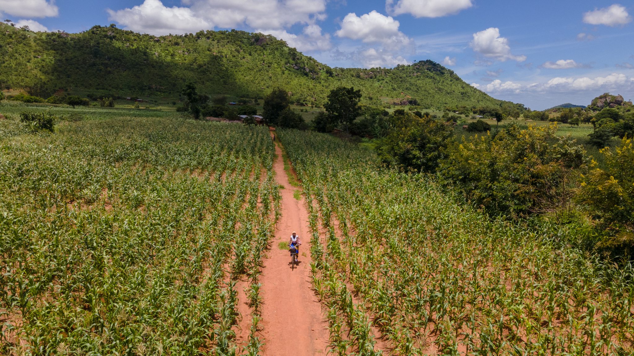 How we work | SolarAid